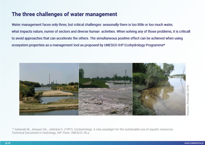 Role of landscape structure in regulation of water and nutrient cycles