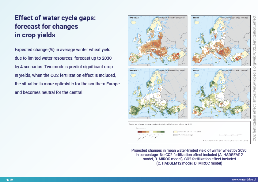 Role of landscape structure in regulation of water and nutrient cycles
