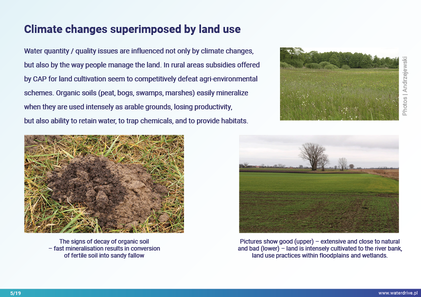 Role of landscape structure in regulation of water and nutrient cycles