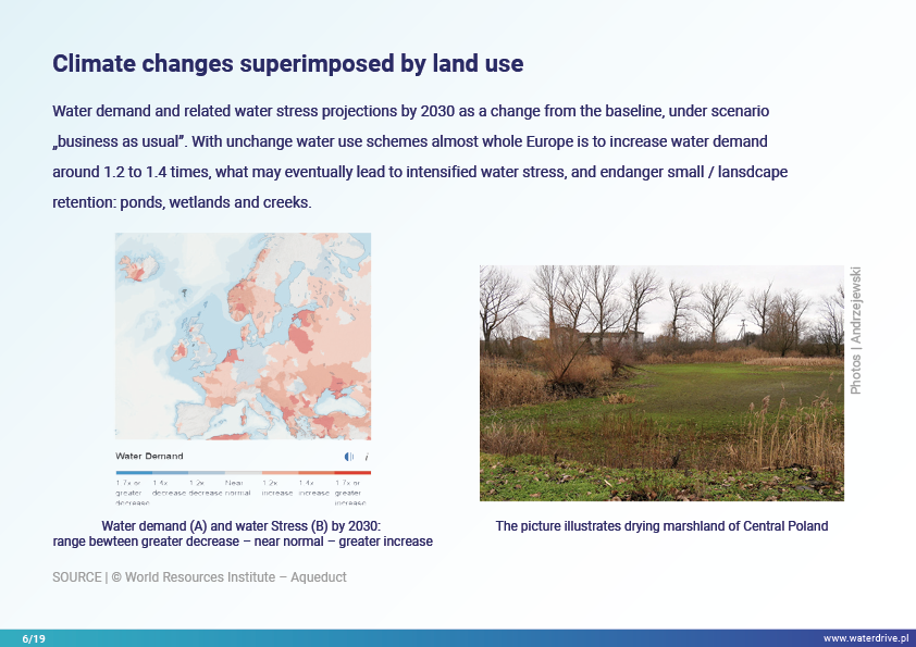 Role of landscape structure in regulation of water and nutrient cycles