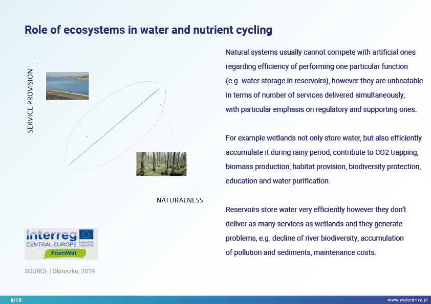 Role of landscape structure in regulation of water and nutrient cycles