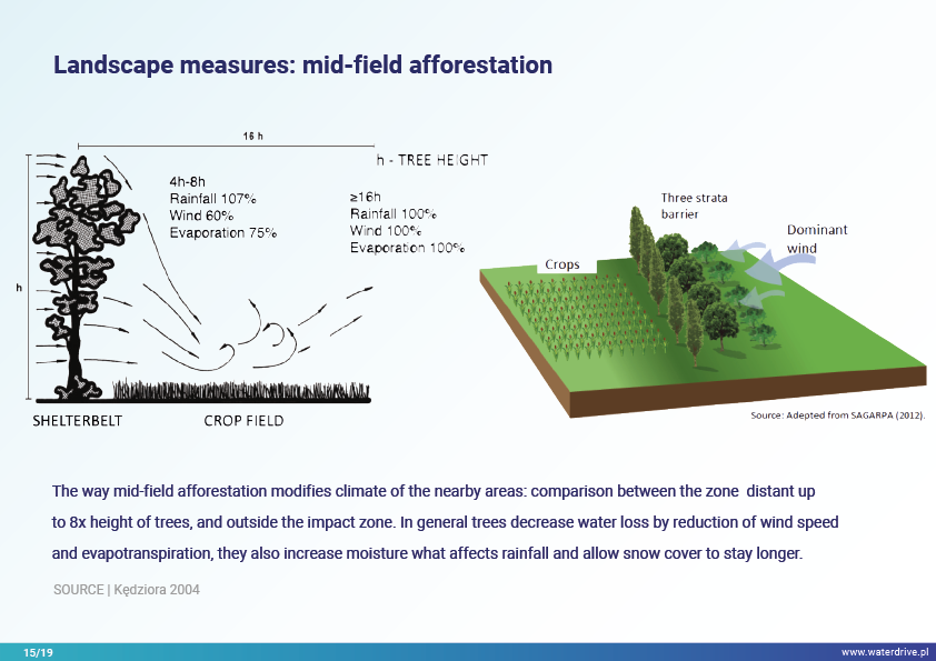 Role of landscape structure in regulation of water and nutrient cycles