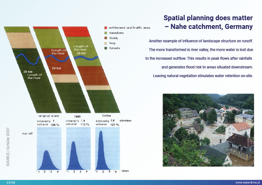 Role of landscape structure in regulation of water and nutrient cycles